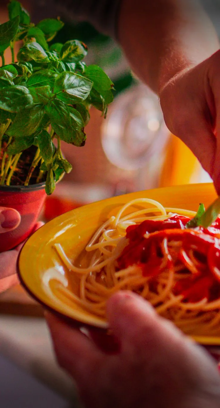 PANZANI - making pasta and sauces since 1950