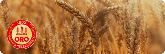 Pipe Rigate - Panzani